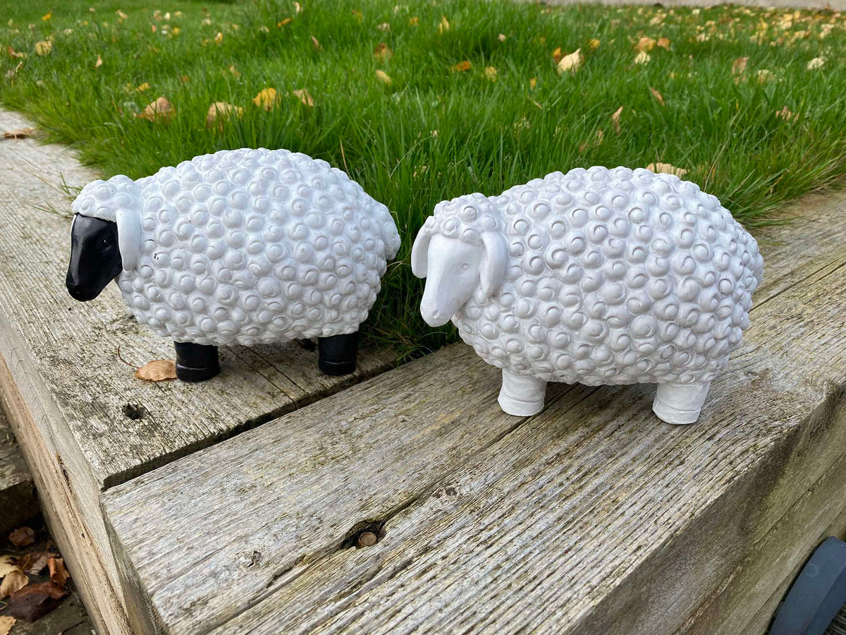 Chunky Sheep – Backyard Bliss