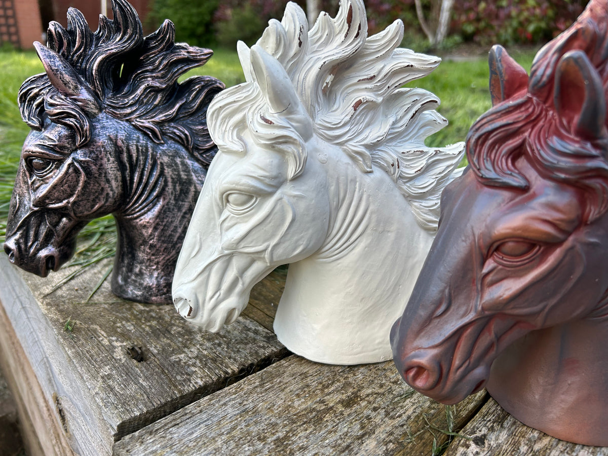 Stallion Heads – Backyard Bliss