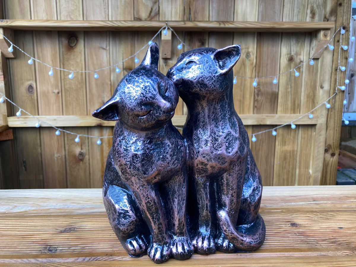 Two Preening Cats – Backyard Bliss