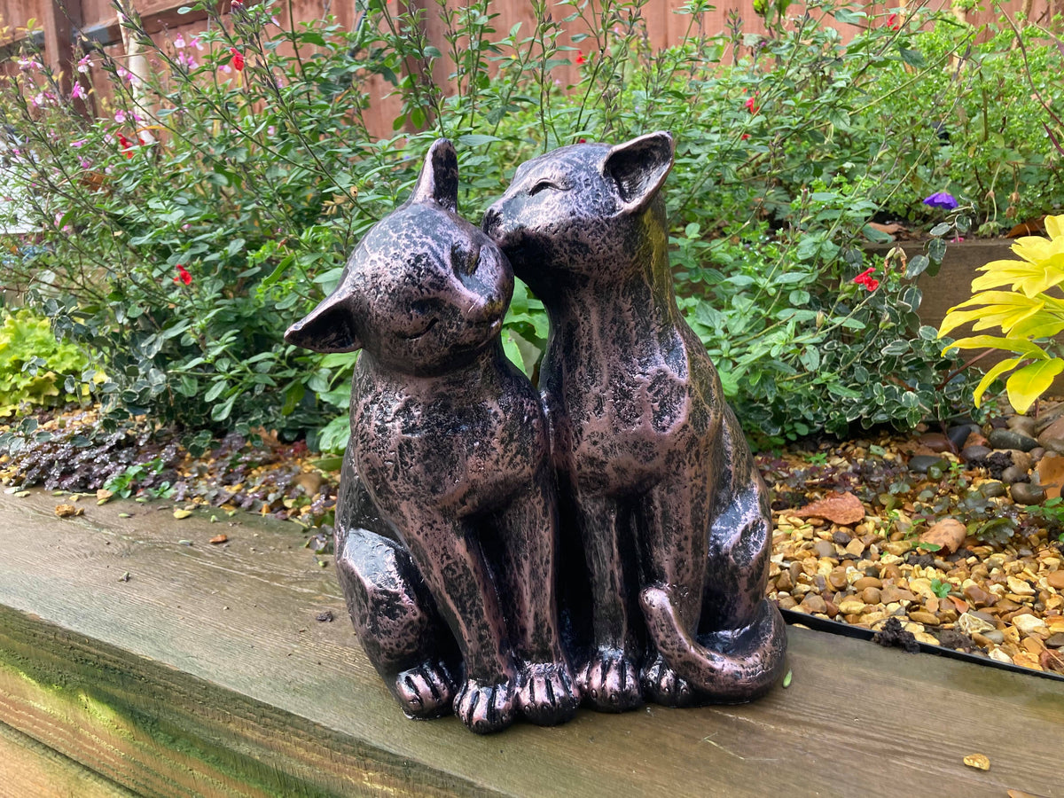 Two Preening Cats – Backyard Bliss