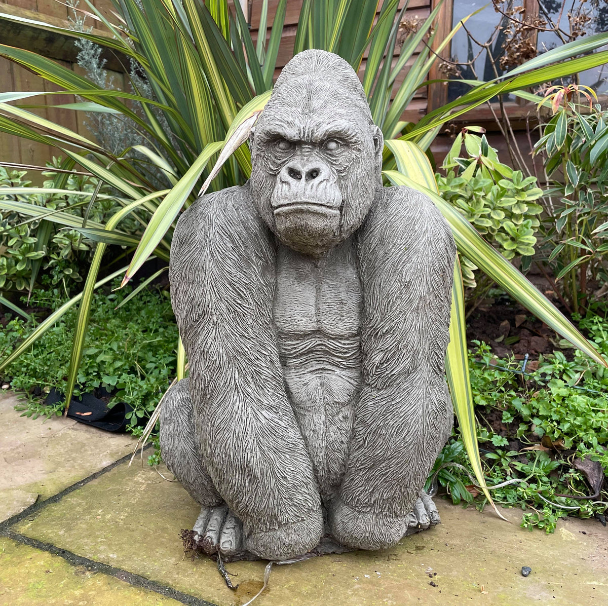 Gorilla Silver Back Male Ape Statue – Backyard Bliss