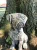 Boxer Puppy Sitting Stone Statue – Backyard Bliss